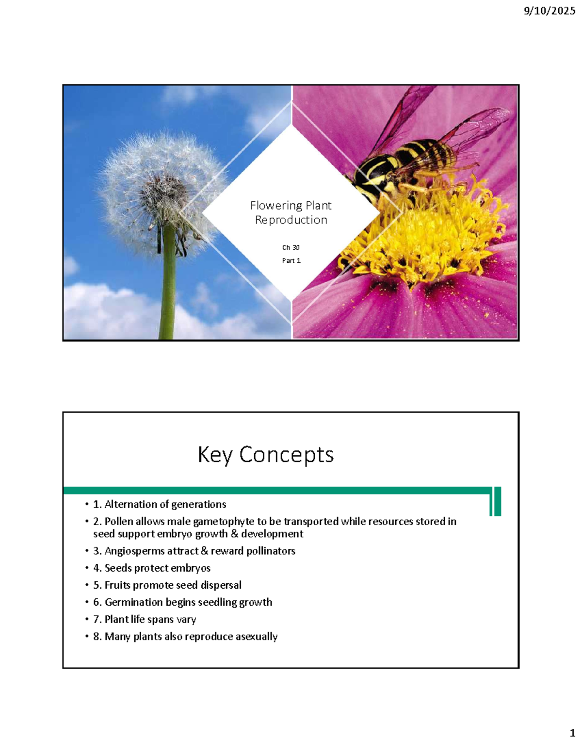Angiosperm Reproduction: Key Concepts & Life Cycle Overview (Ch 30 ...