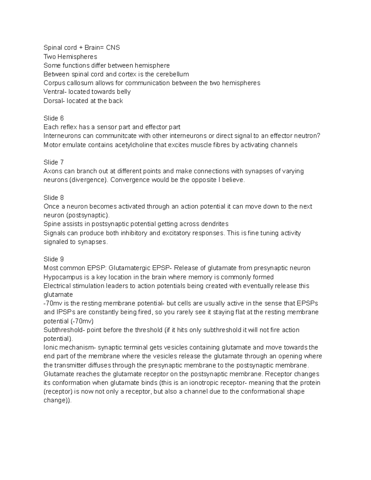 CNS Physiology Notes: Spinal Cord and Brain Functions - Studocu