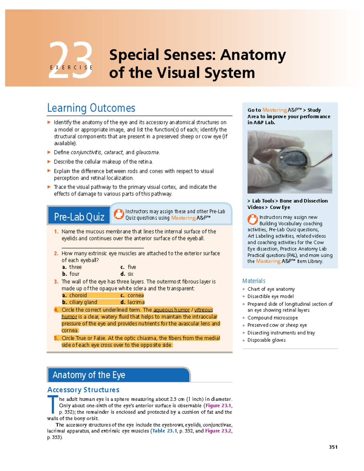 23 E X E R C I S E Sheep Eye Lab: Anatomy of the Visual System ...
