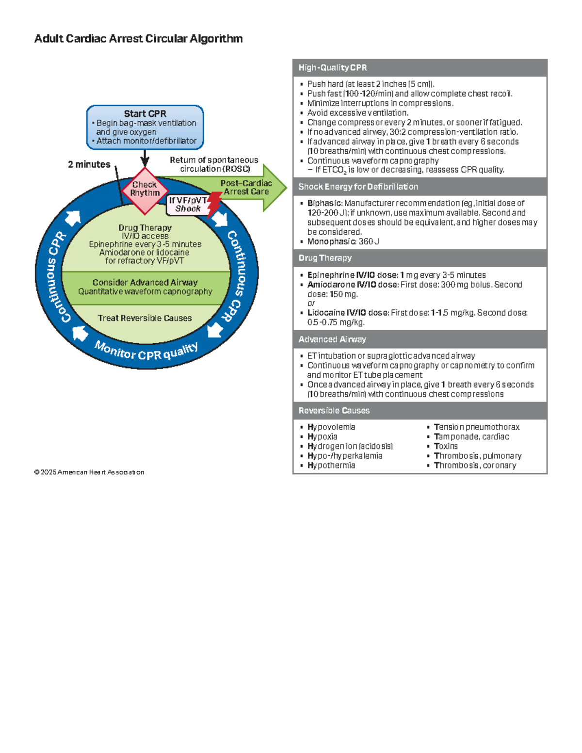 ACLS Adult Cardiac Arrest Algorithm Guide - Studocu