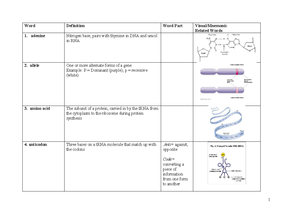 Biology 101: Starter Vocabulary Chart for Key Terms - Studocu