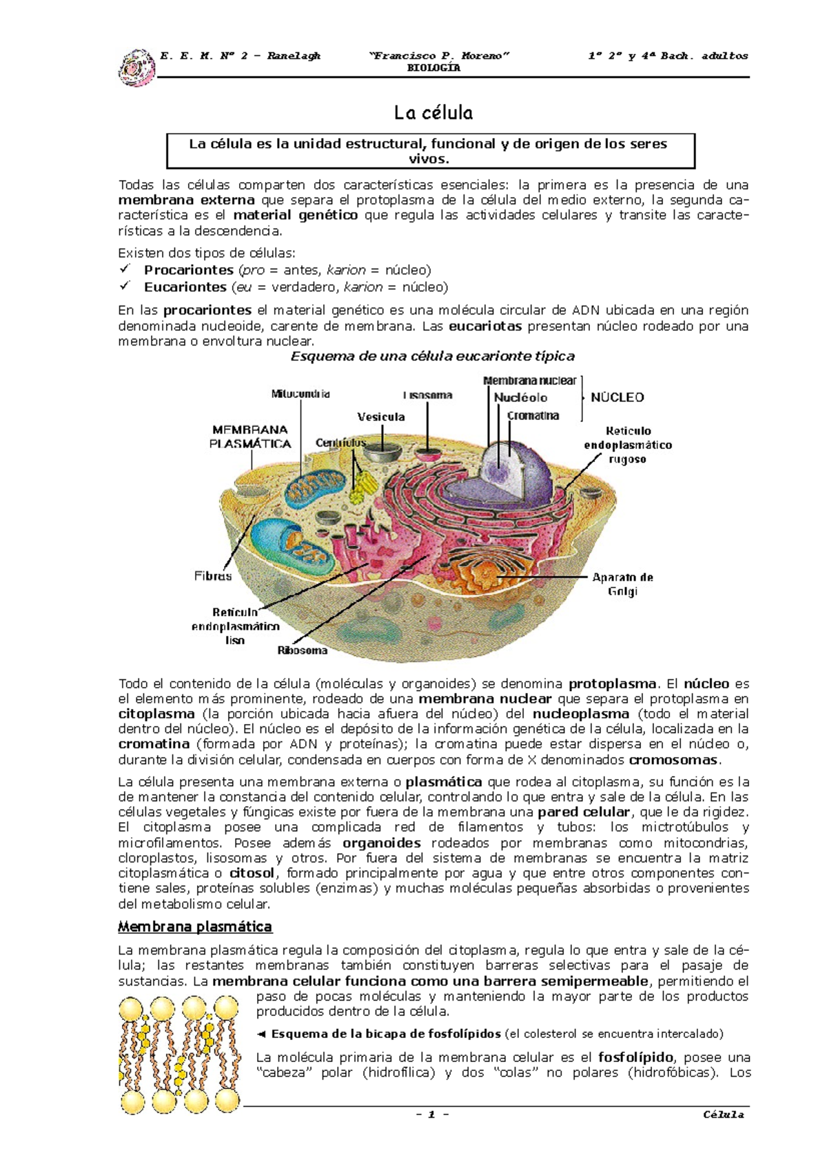 Repasos sobre la Célula - E. E. M. Nº 2 Ranelagh P. BIOLOGÍA 1º 2º y 4ª ...
