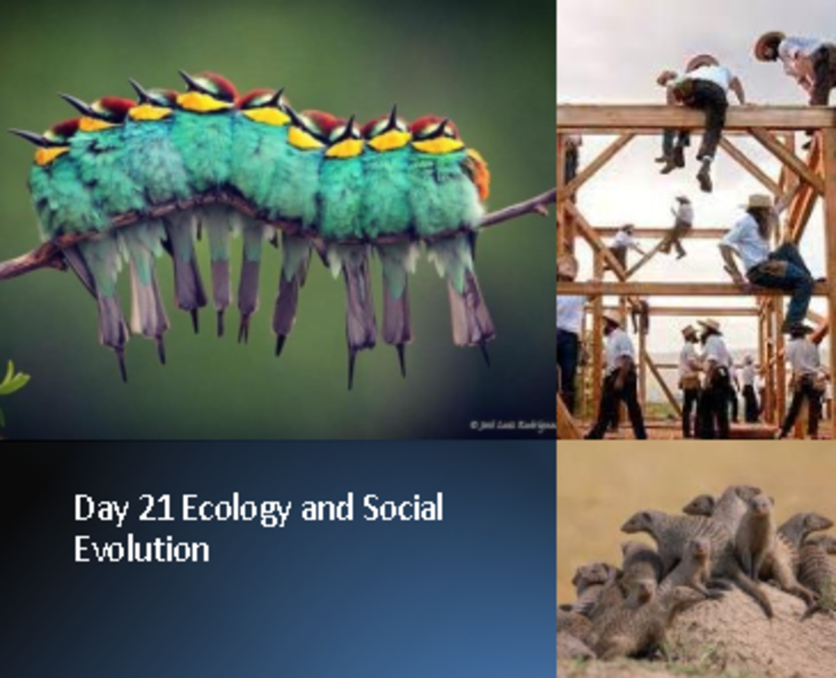 Day 21: Ecology & Social Evolution Insights (Course Code) - Studocu