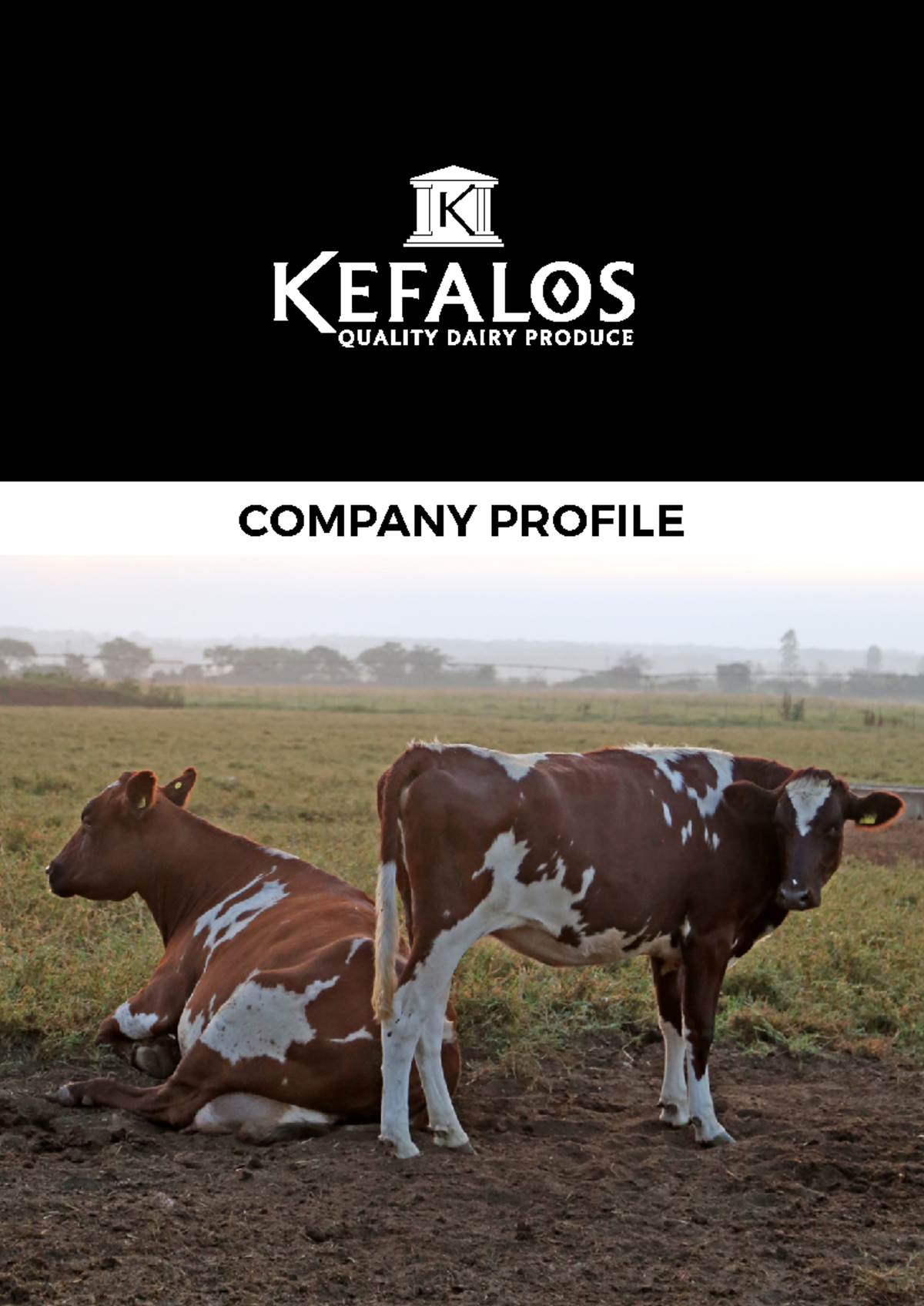 Kefalos Company Profile 32023 - Leading Dairy Brand in Zimbabwe - Studocu