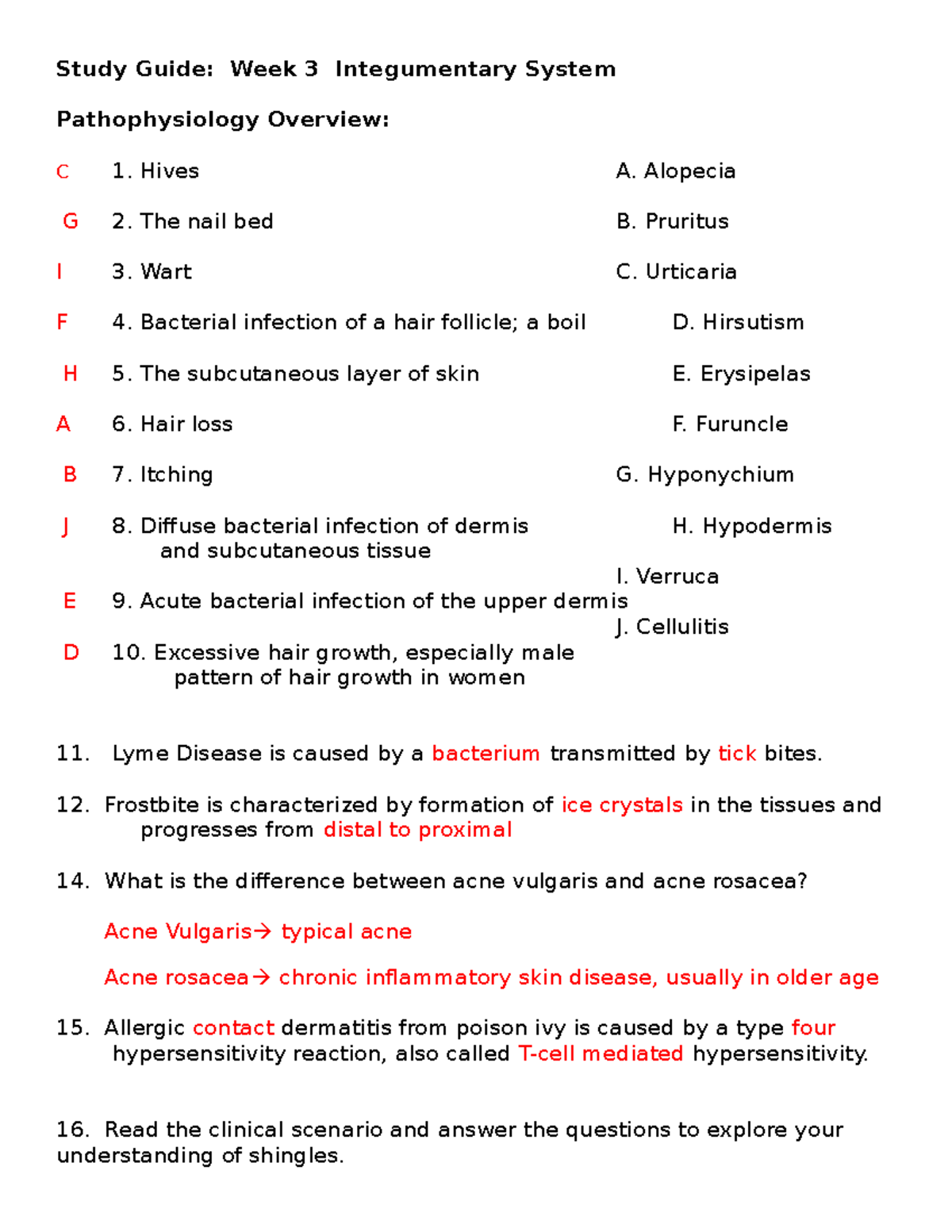 Week 3 Study Guide: Integumentary System - MED SURG Insights - Studocu