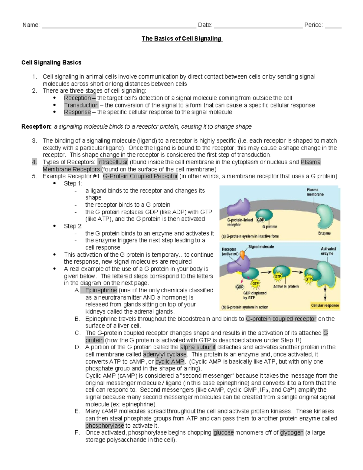 Cell Signaling Basics: Notes for BIOL 101 Final Exam (2019) - Studocu