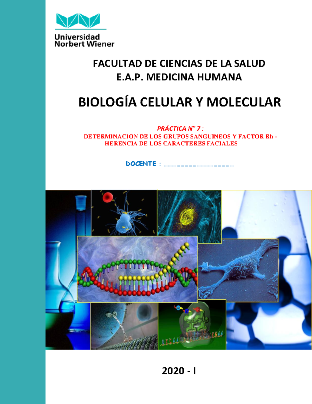 Práctica N° 7 Indicaciones Determinación DE LOS Grupos Sanguíneos Y ...