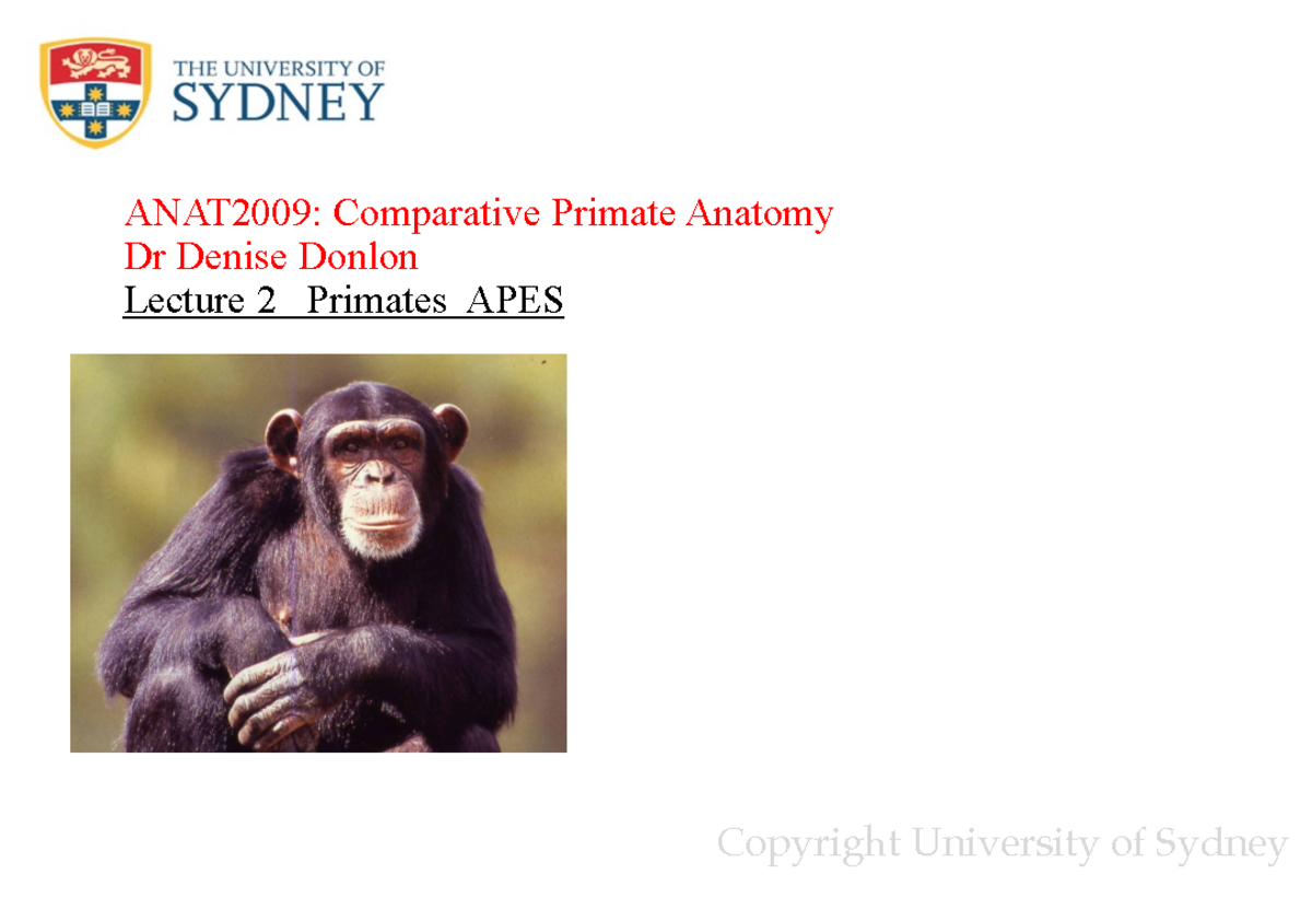 ANAT2009 Lecture 2: Characteristics of Primates and Apes - Studocu