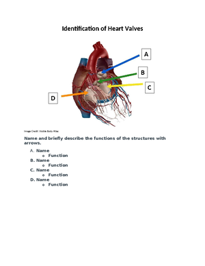 Unit 3 Med-term Packet (Student) C (1) week3 - Unit 3 MedTerm ...