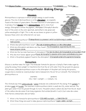 Meiosis Gizmo - answers for bio - Name: Date: Student Exploration ...