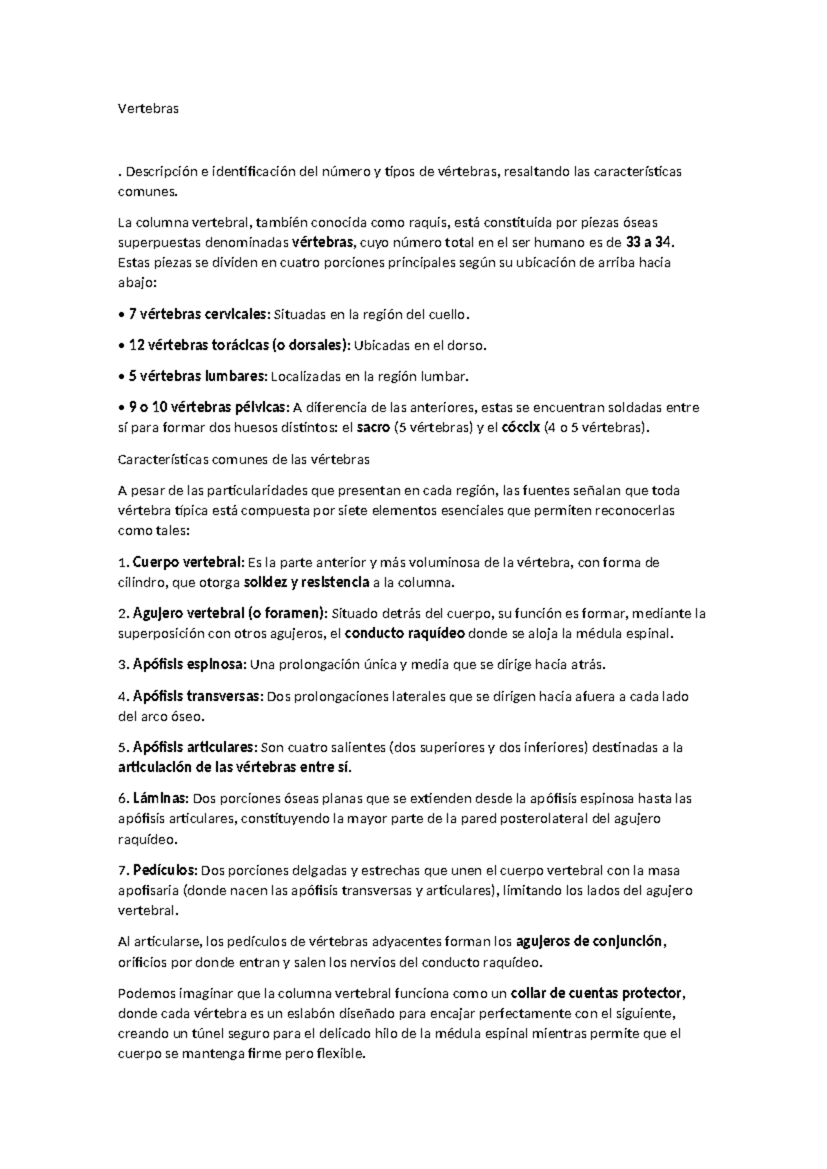 Vertebras: Descripción y Características de la Columna Vertebral - Studocu