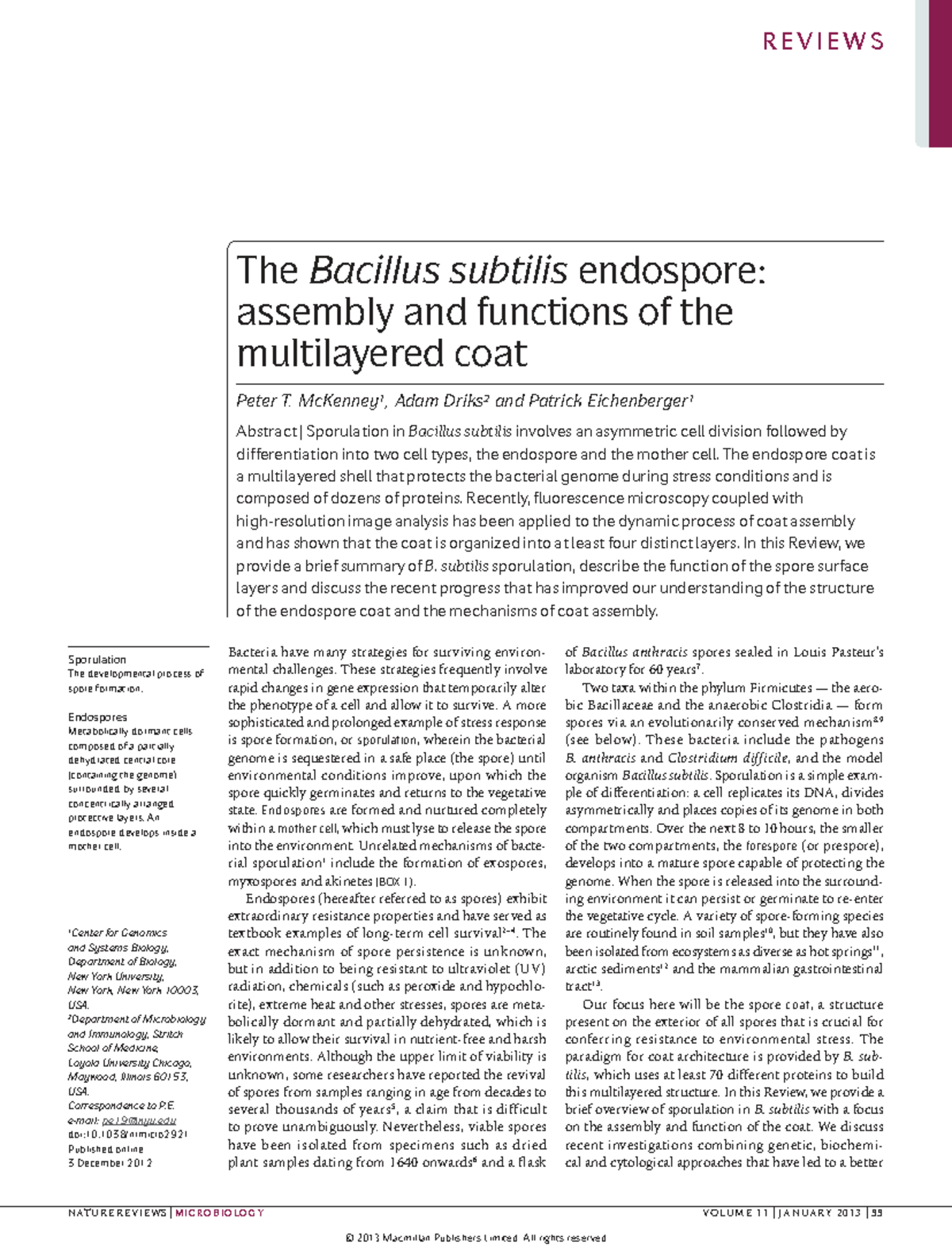 Bacillus subtilis Sporulation: Endospore Coat Assembly & Functions ...