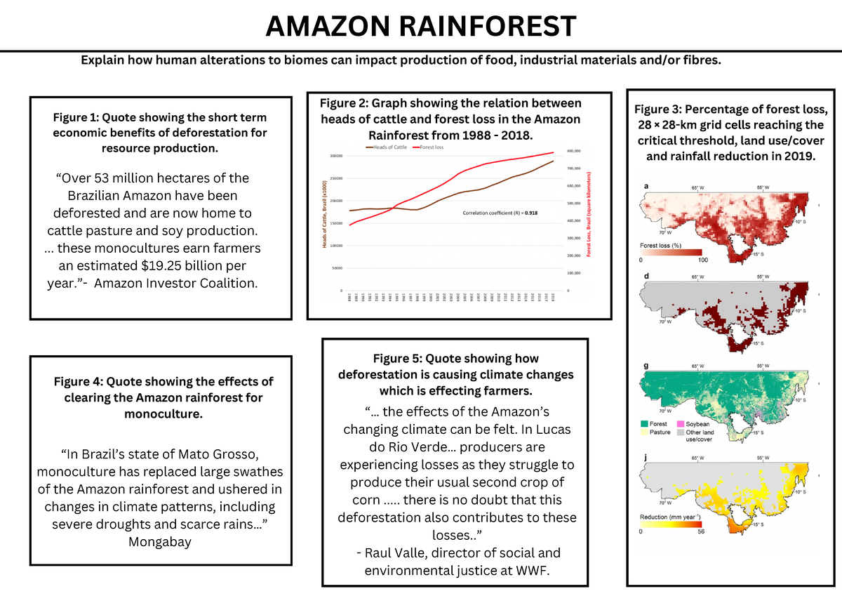 Amazon Rainforest: Human Impact on Biomes and Sustainability Strategies ...
