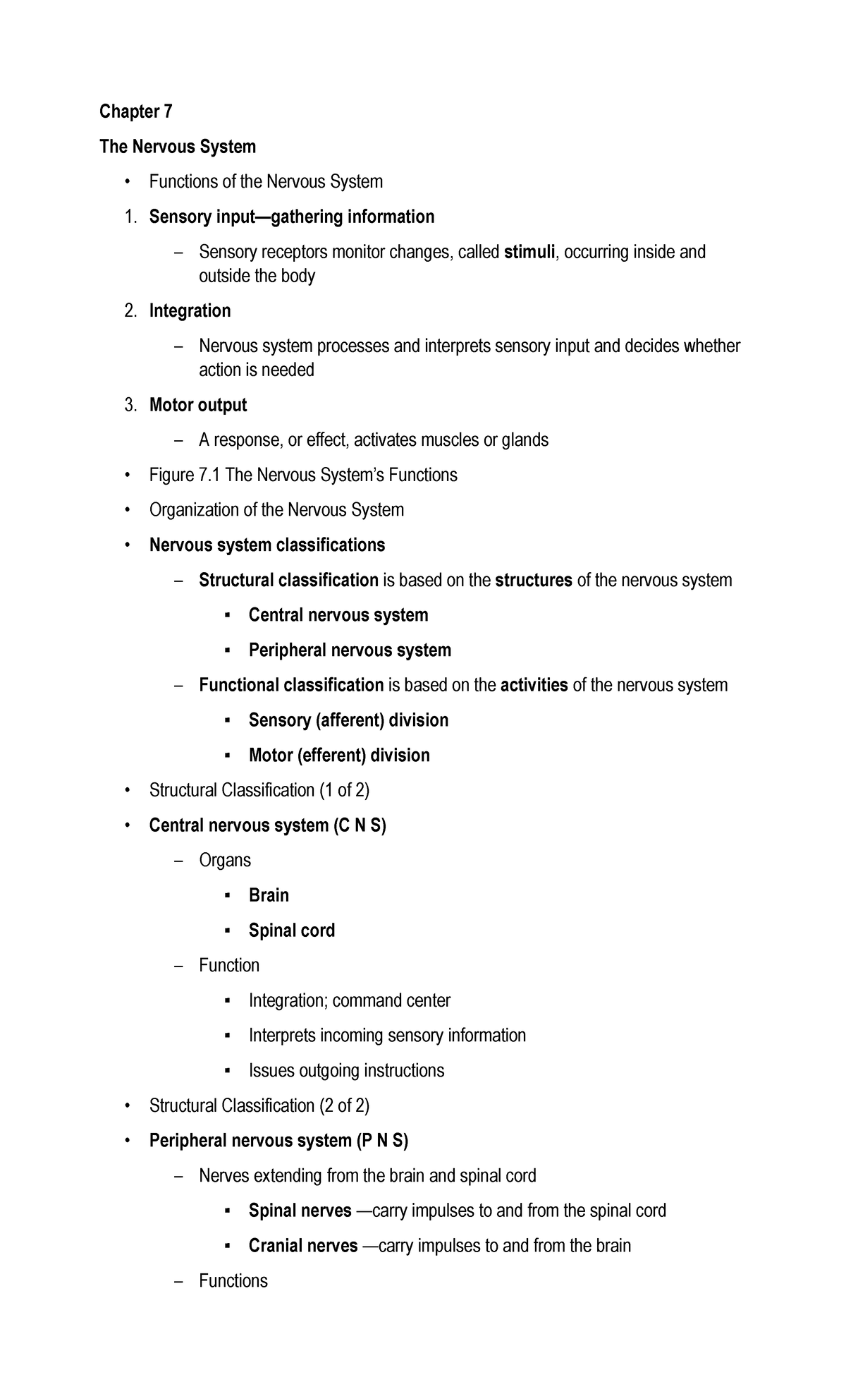 Chapter 7: The Nervous System - Functions and Classifications (CNS & PNS) - Studocu