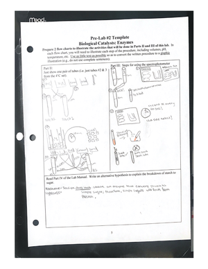 Comprehensive Study Guide: Cell Biology Concepts and Structures ...