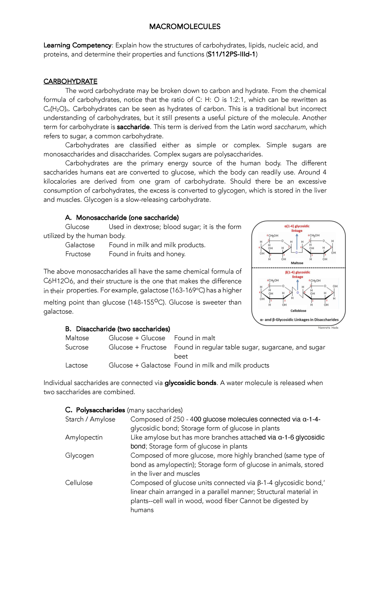 S11/12PS-IIId-1 Handout: Overview of Macromolecules and Their Functions ...