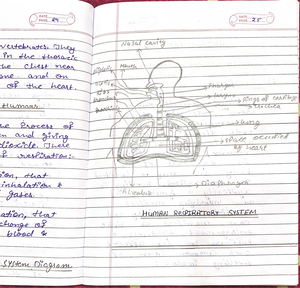 BP Process Safety Series Liquid Hydrocarbon Storage Tank Fires - BP ...