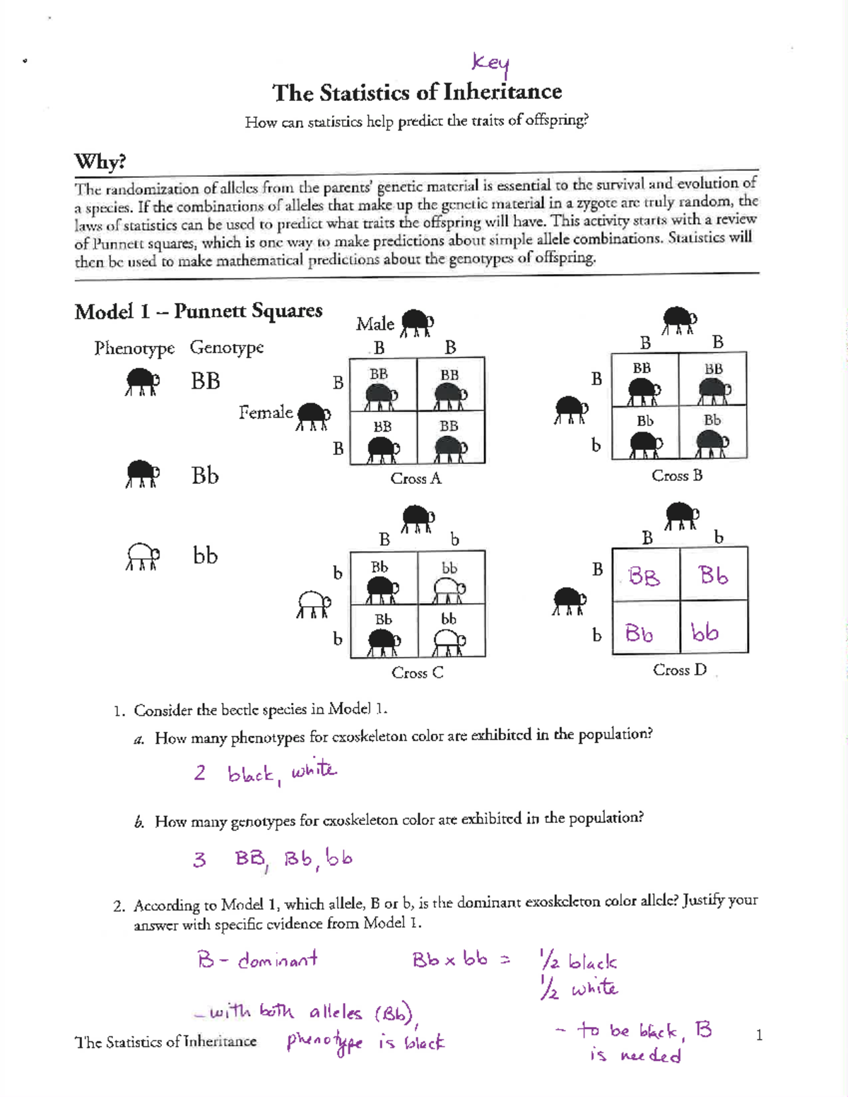 KEY-The Statistics of Inheritance Analysis and Findings - Studocu