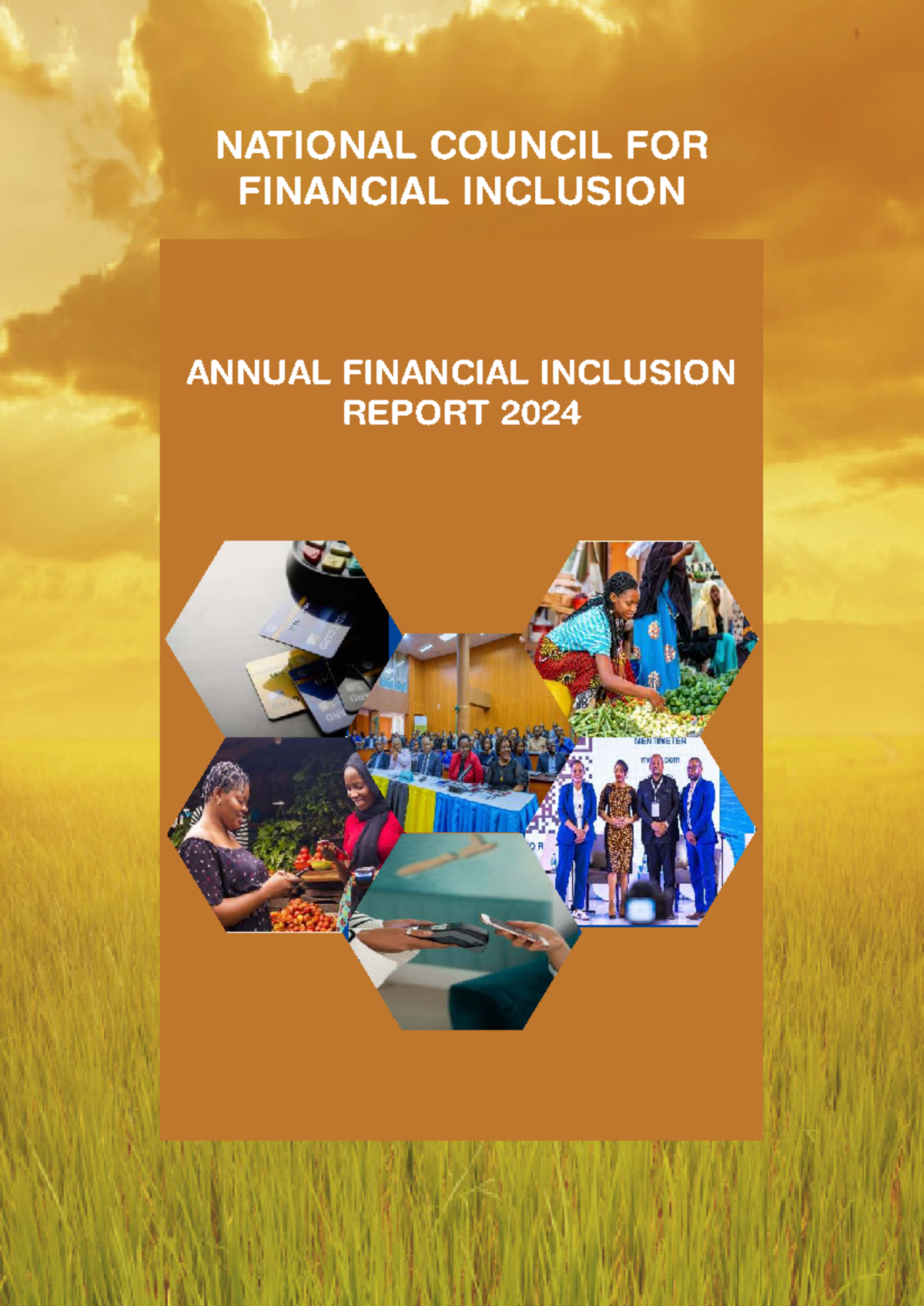 Annual Financial Inclusion Report 2024: Progress and Insights - Studocu