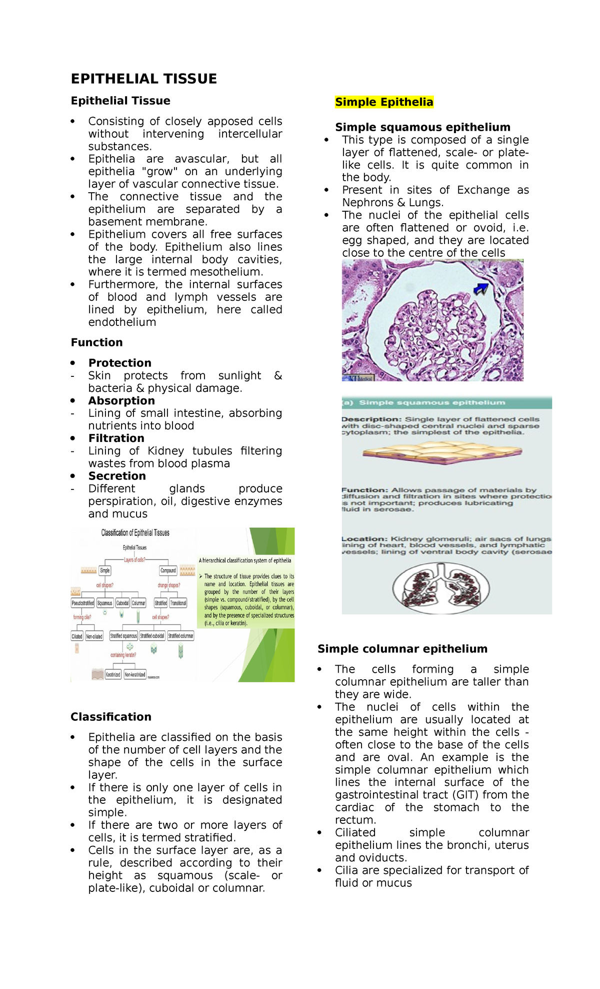 Epithelial Tissue - EPITHELIAL TISSUE Epithelial Tissue Consisting of ...
