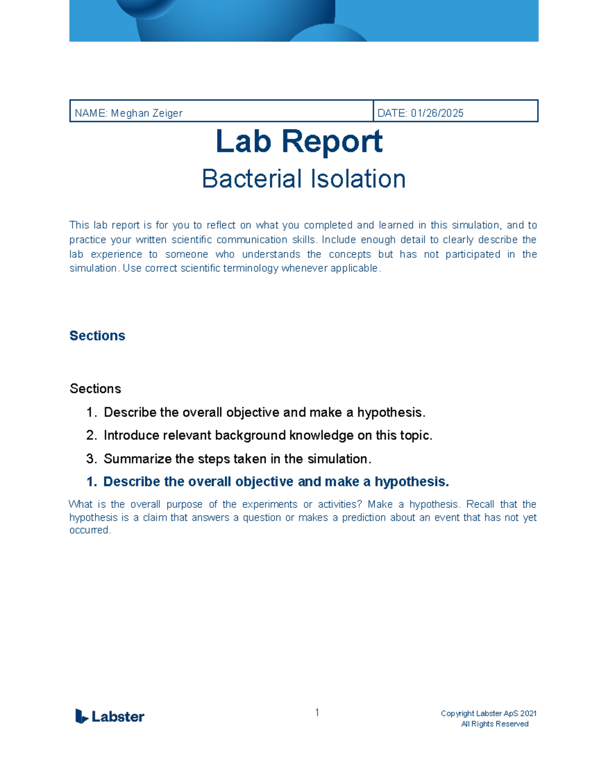 Lab Report: Bacterial Isolation Results and Analysis - Mzeiger - Studocu