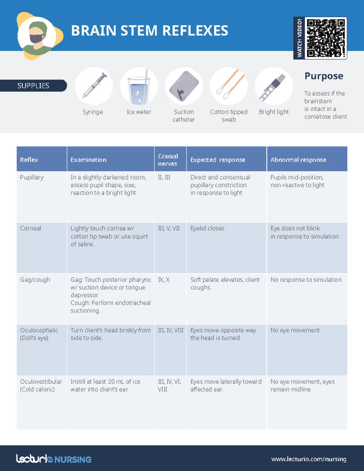 Nursing CS Brain Stem Reflexes 01-1 - lecturio/nursing BRAIN STEM ...