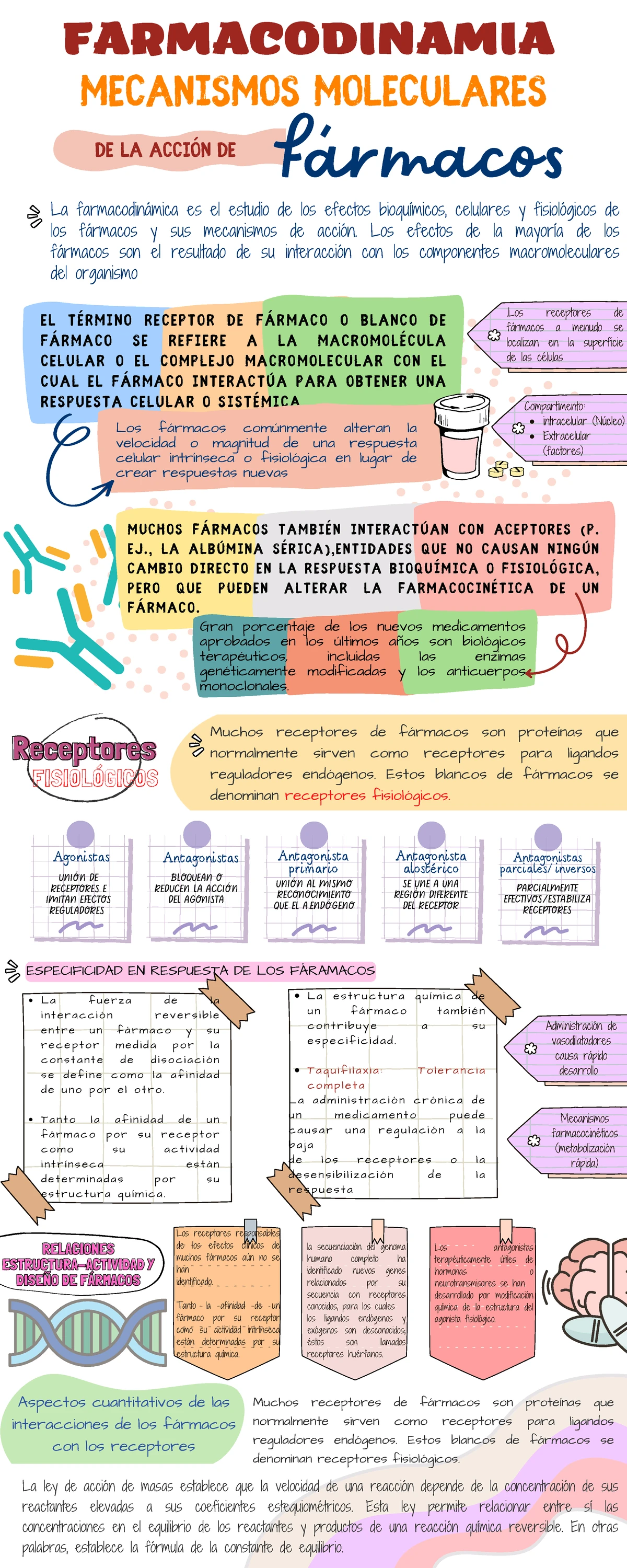 Farmacocinética VS Farmacodinamia - Infografía - FARMACOCINÉTICA Se define como los efectos del ...