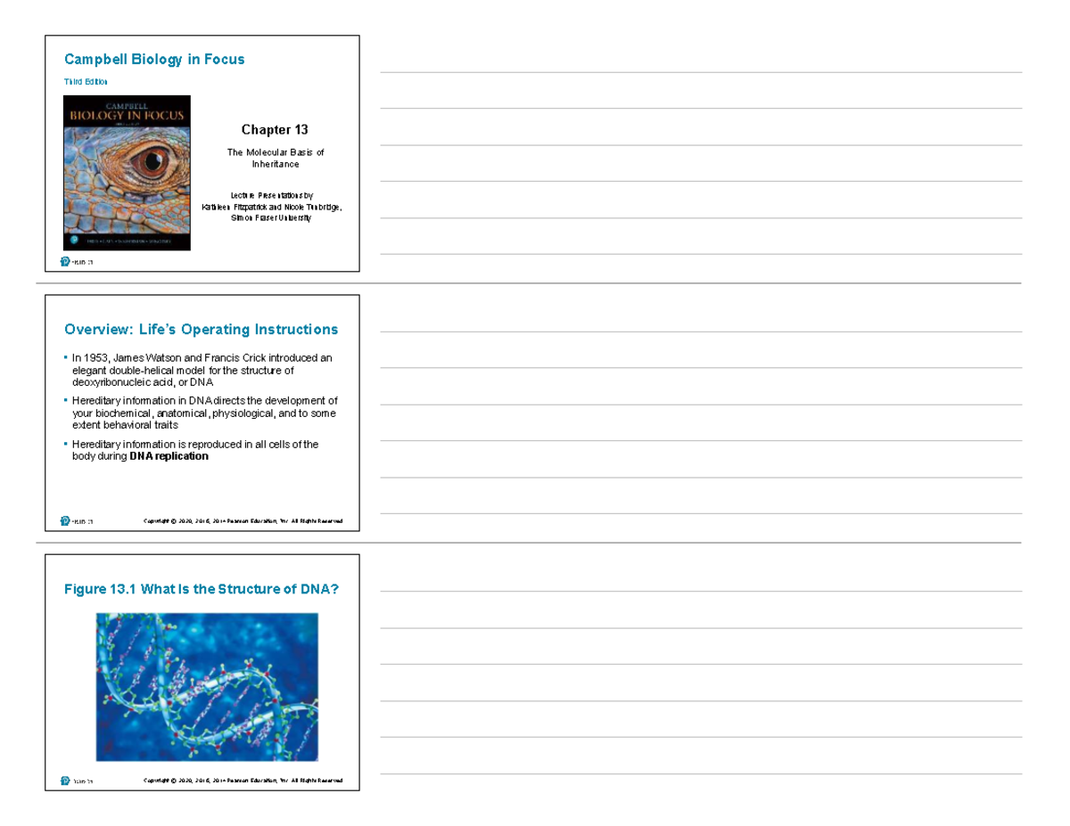 Amplifying DNA In Vitro: PCR and Cloning Methodology (BIOL 101 ...
