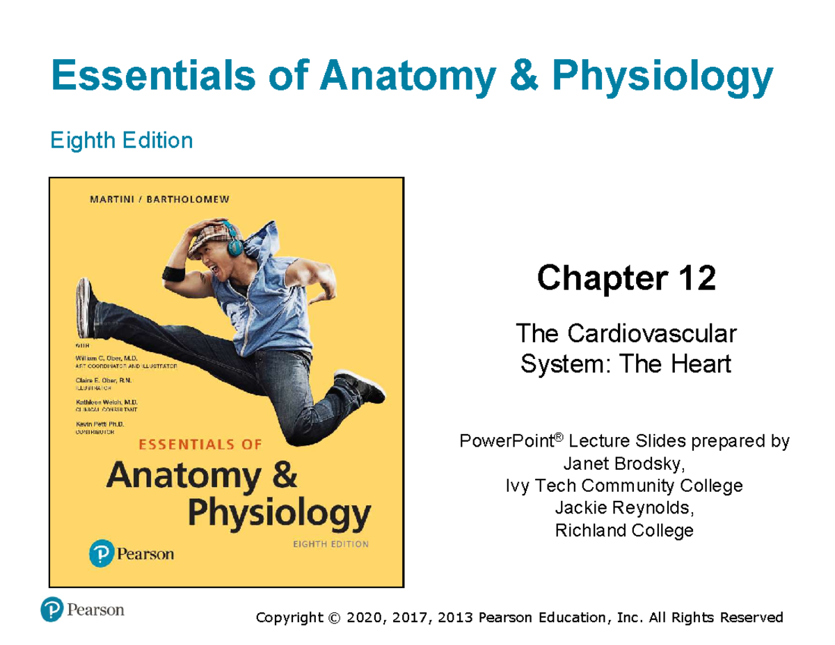 A&P 12: The Cardiovascular System - Heart Lecture Slides - Studocu