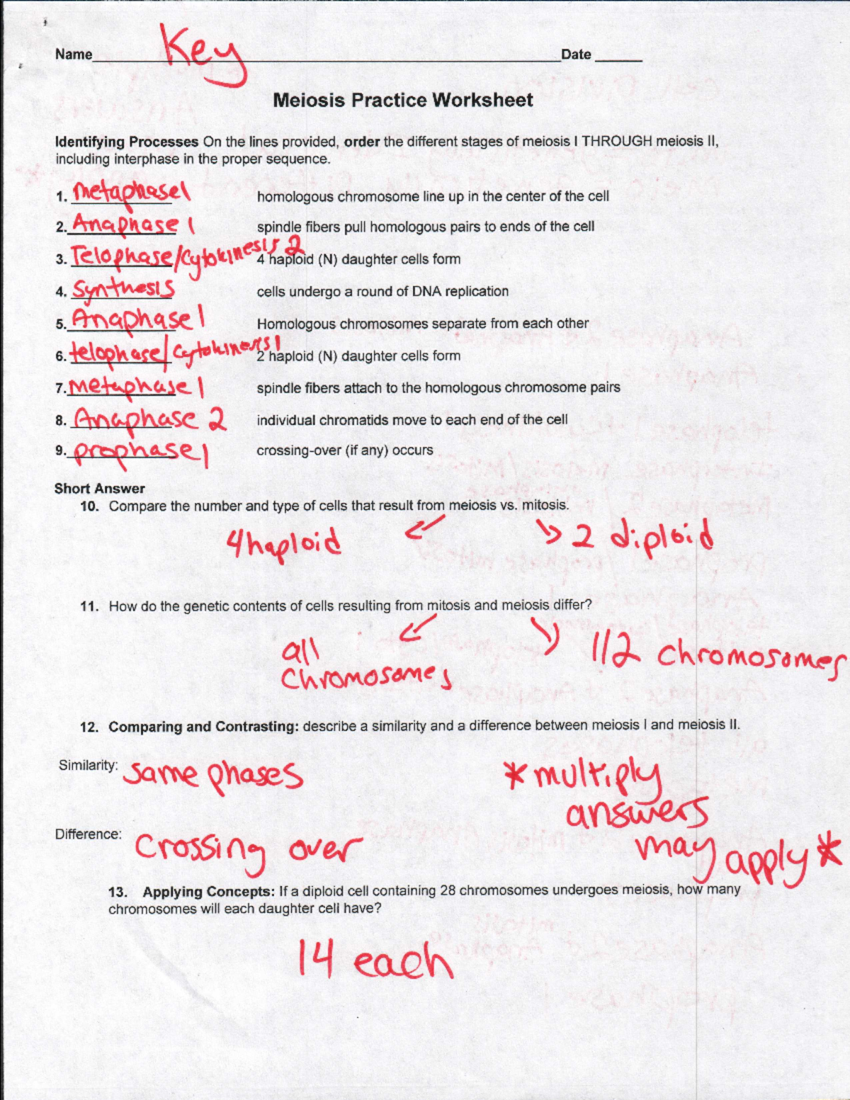 Meiosis Practice Worksheet Key for Biology 101 - Studocu