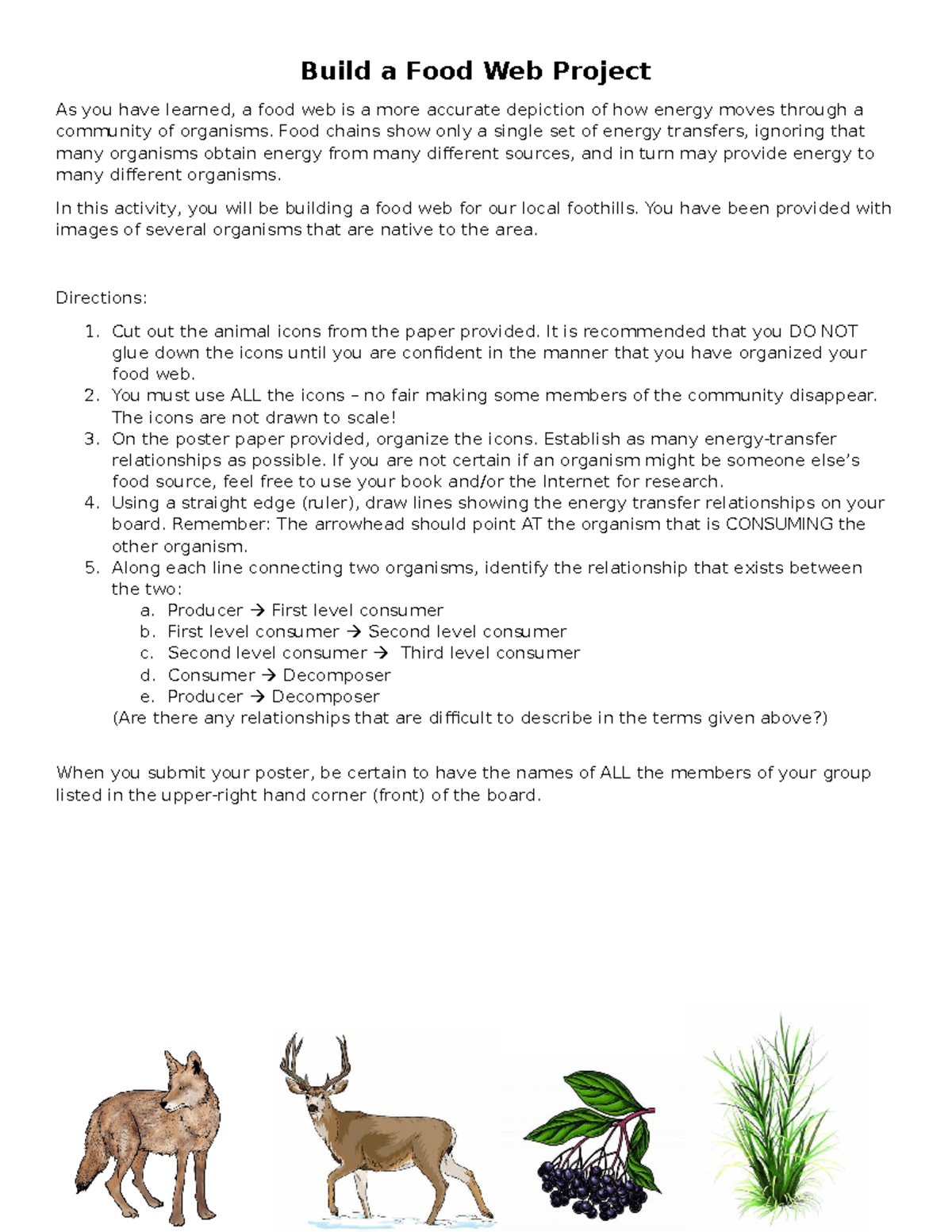Food Web Project: Building Energy Relationships in Local Ecosystem ...