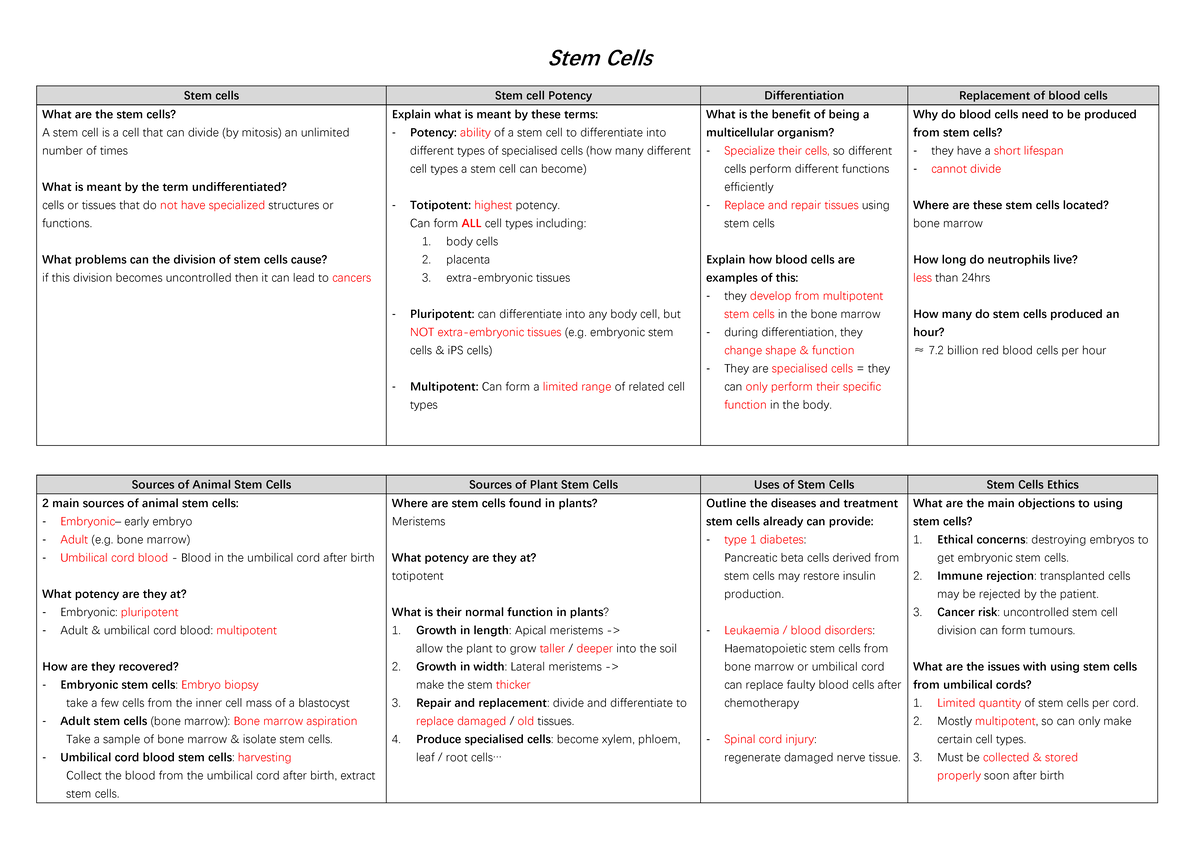 Biology 101: Stem Cells Overview and Applications - Studocu
