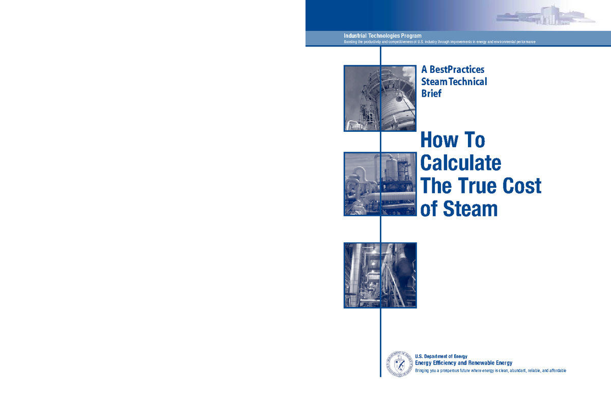 Industrial Technologies Program: How to Calculate the True Cost of ...