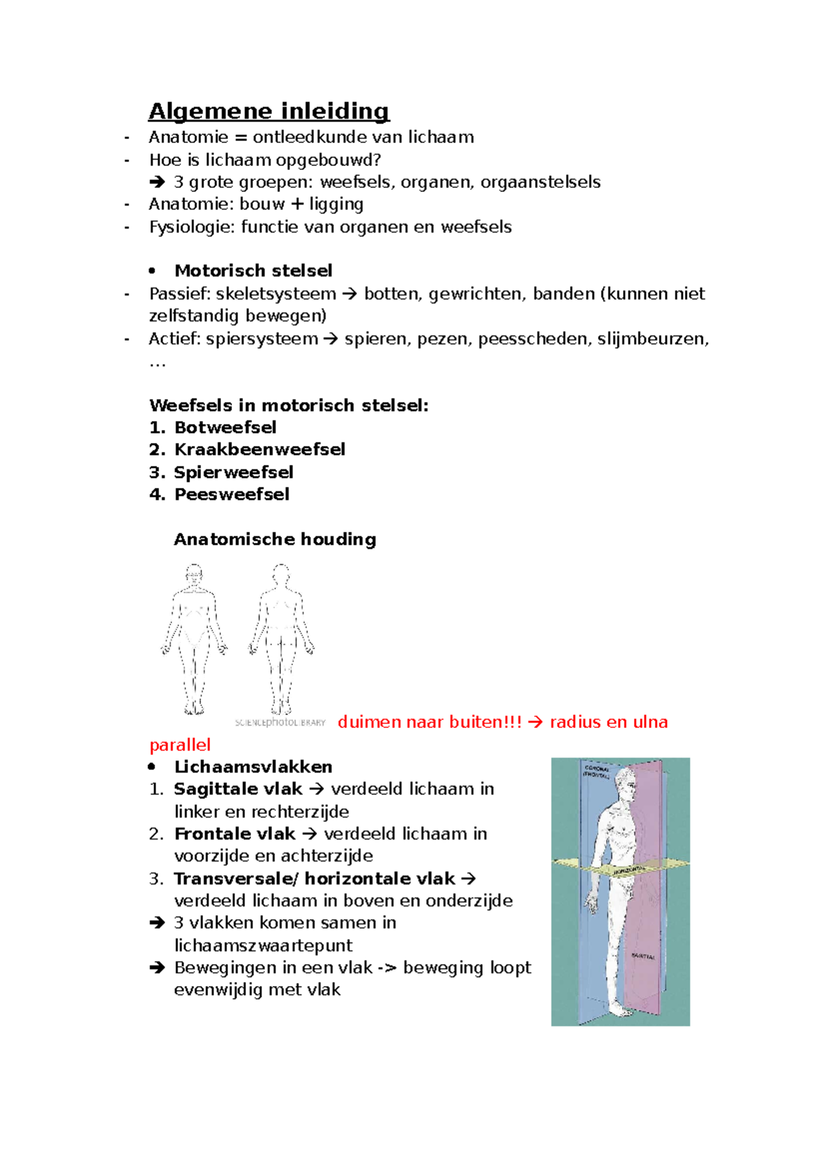 Algemene inleiding anatomie - Algemene inleiding Anatomie ...