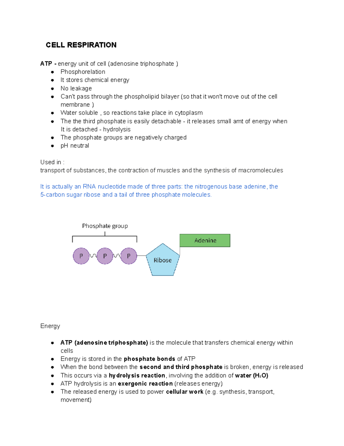 Biology 2: Cellular Respiration and ATP Energy Overview - Studocu