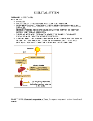 AP - Lab Ex. 03 Review sheet chapter 3 the microscope - BIO 111 - Studocu