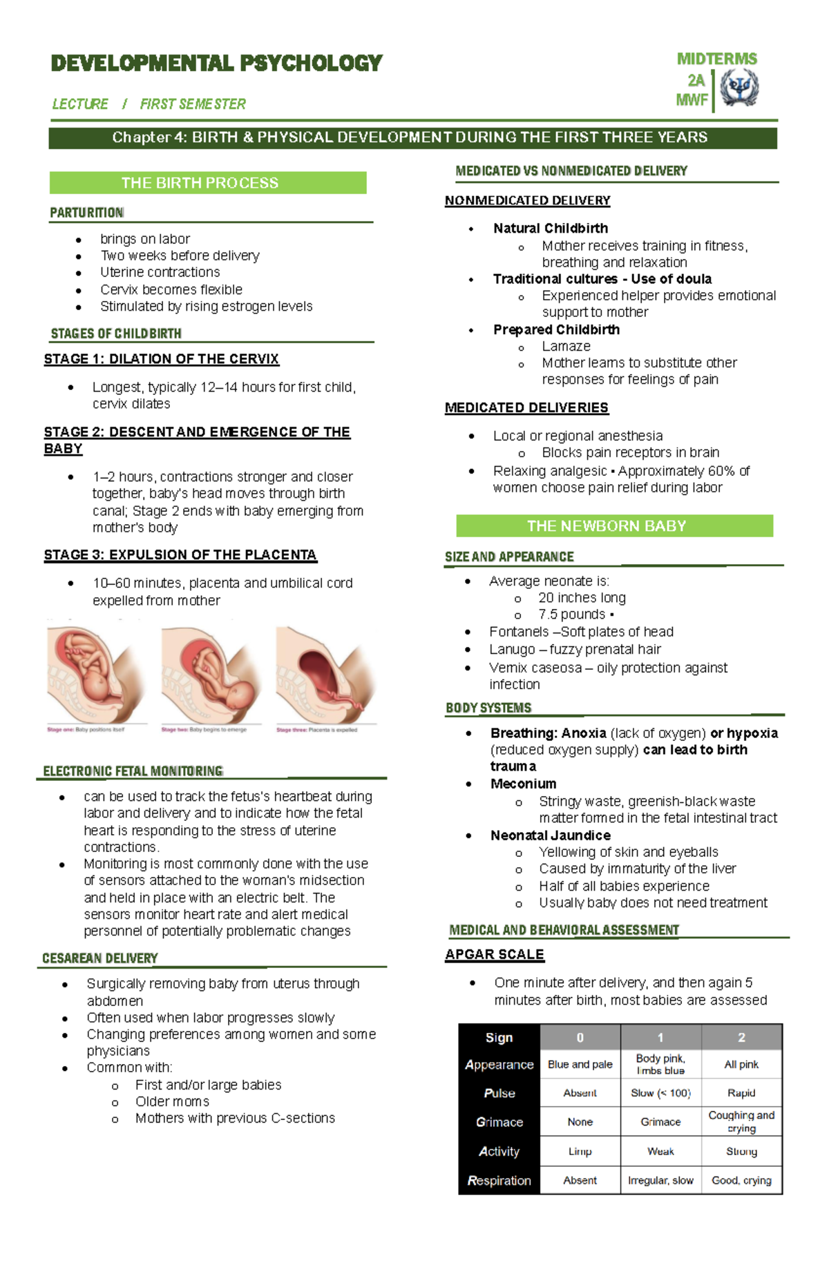 Developmental Psychology 2A: Chapter 4 - Birth & Physical Growth in ...