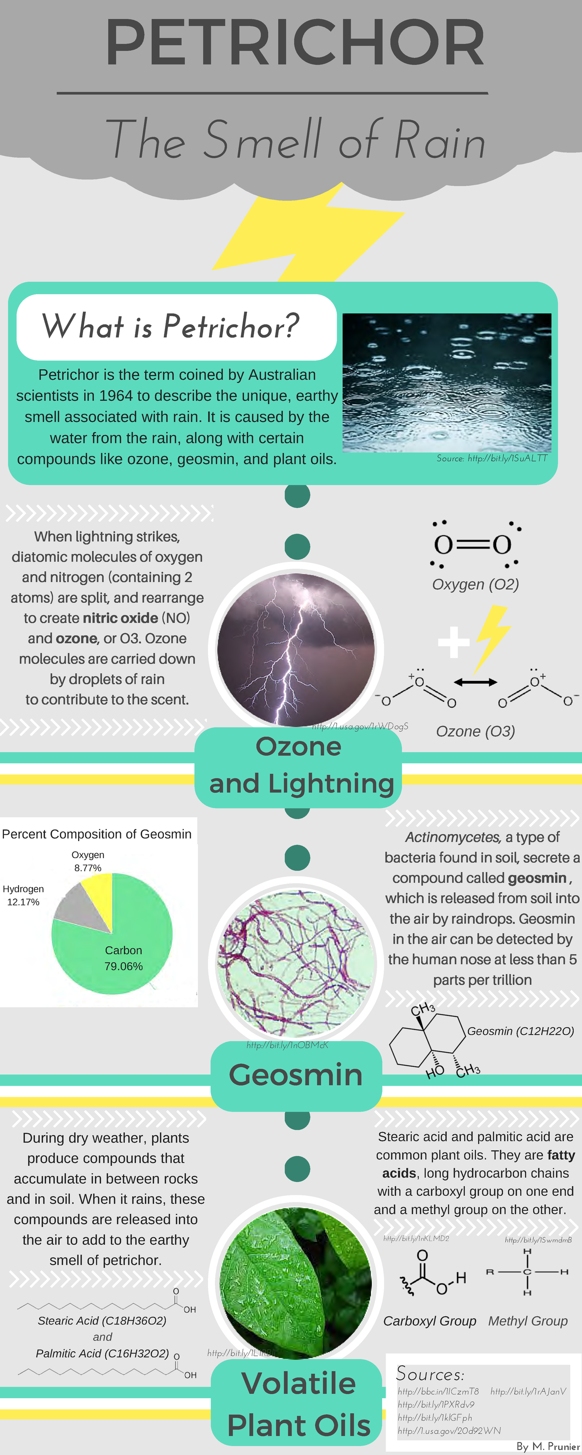 Petrichor (Science) Insights: Understanding the Smell of Rain - Studocu