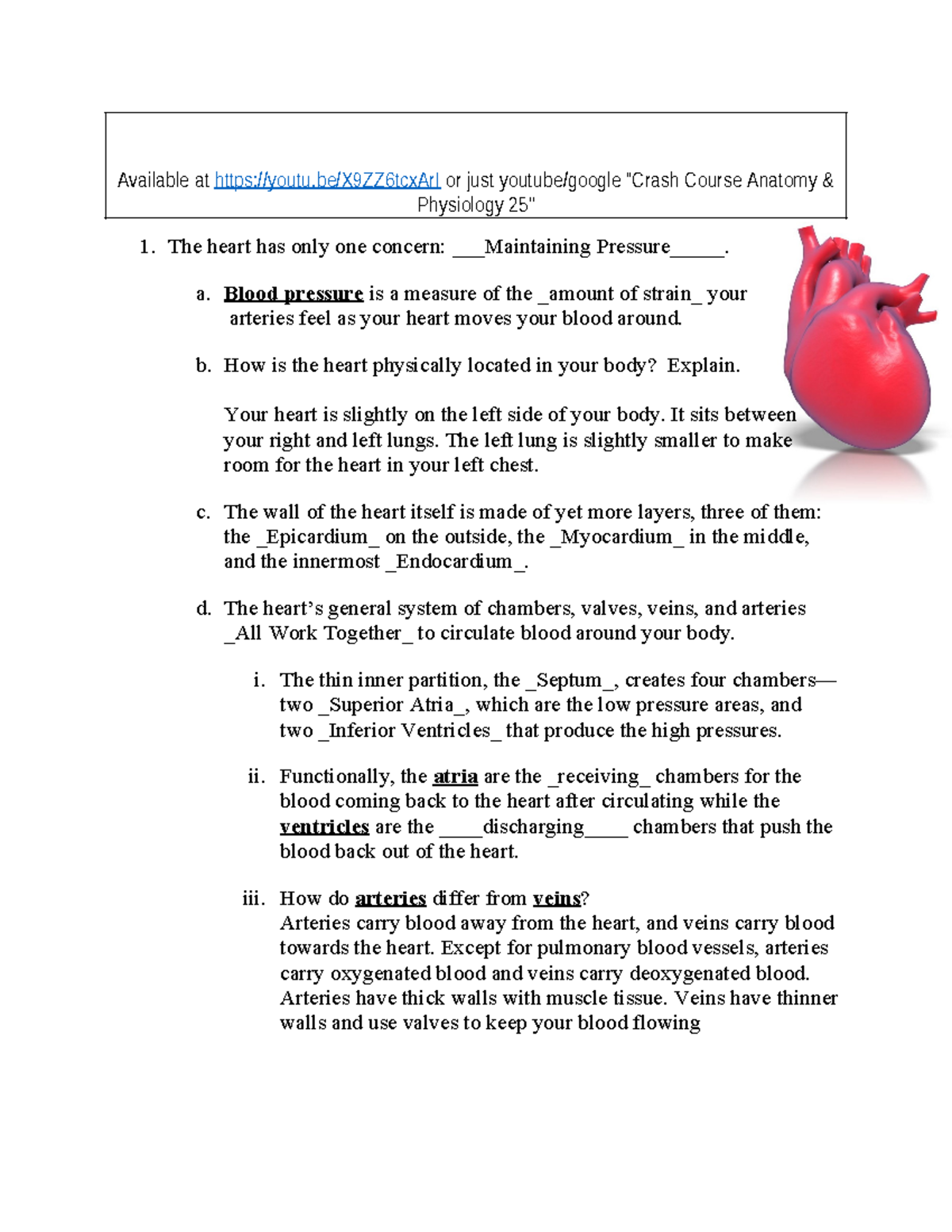 BIO123 Heart Anatomy Assignment - Part 1 for Mr. L - Studocu
