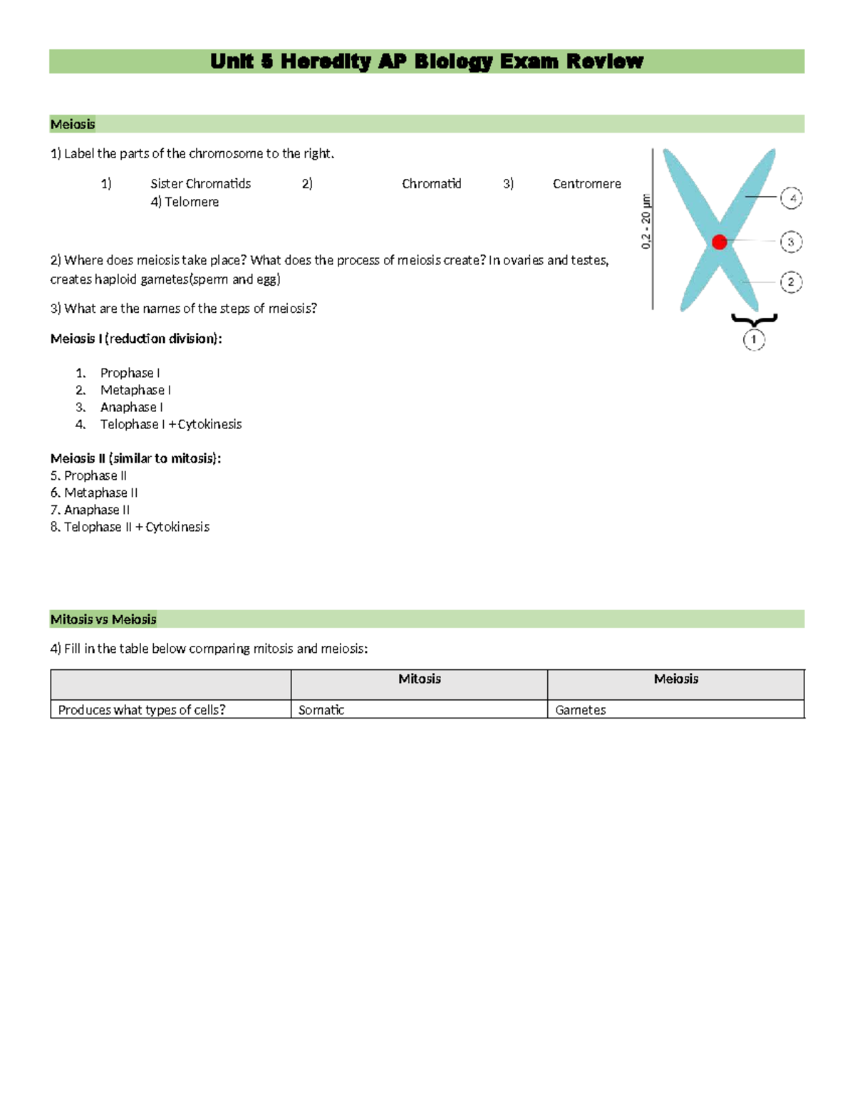 Unit 5 Heredity AP Biology Exam Review: Meiosis & Genetics Concepts ...