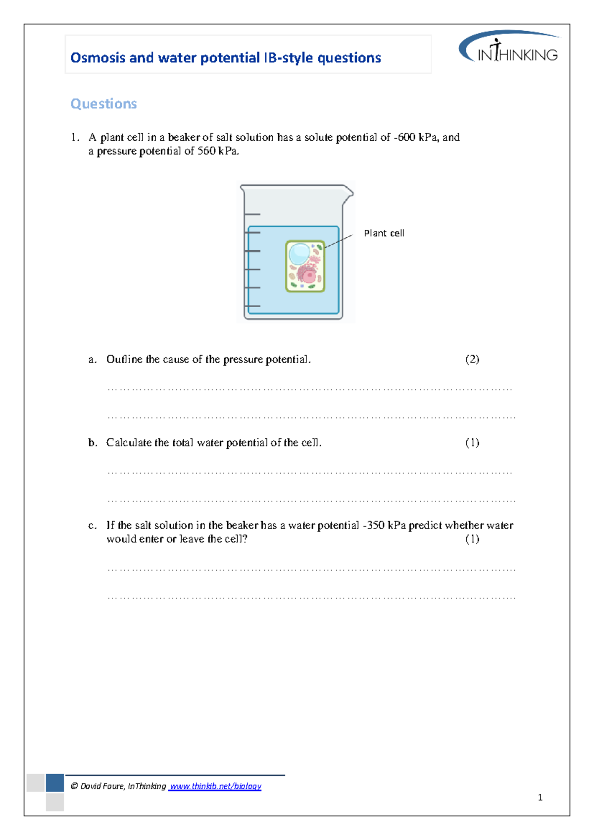 Osmosis and Water Potential: IB-Style Practice Questions - Studocu