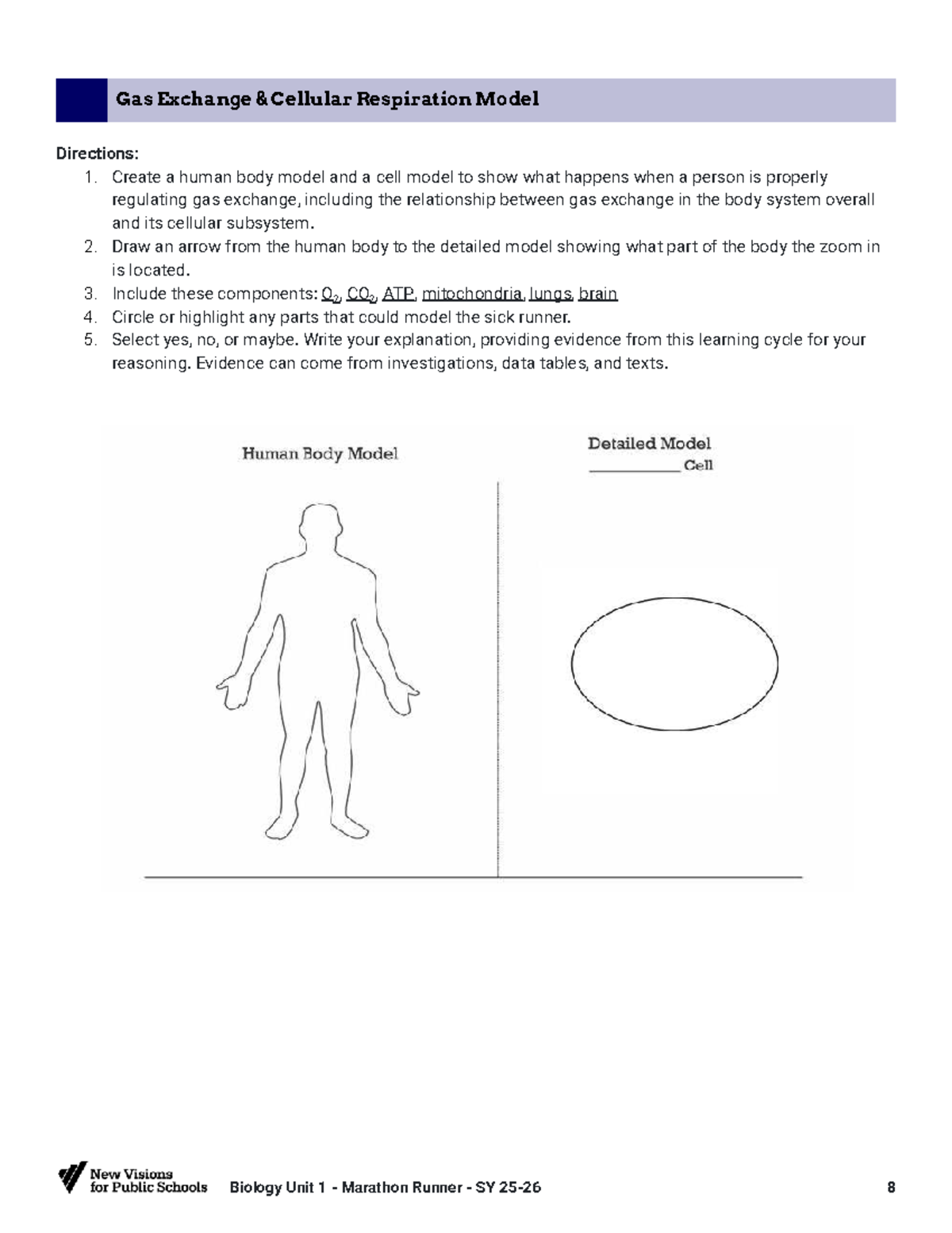 Biology Unit 1: Gas Exchange & Homeostasis Models for Marathon Runner ...