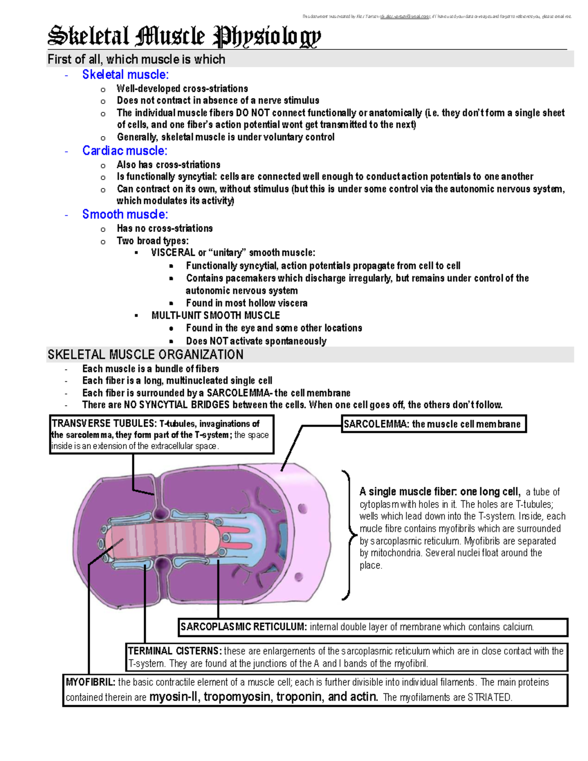 Skeletal Muscle Physiology Notes - Course Code: 2025 - Studocu