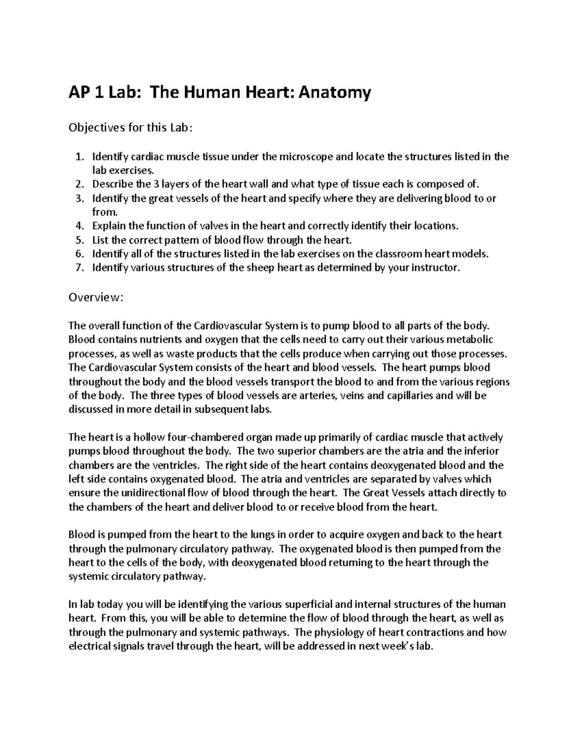 The Human Heart Anatomy Lab Manual: AP2 Lab Exercises & Objectives ...