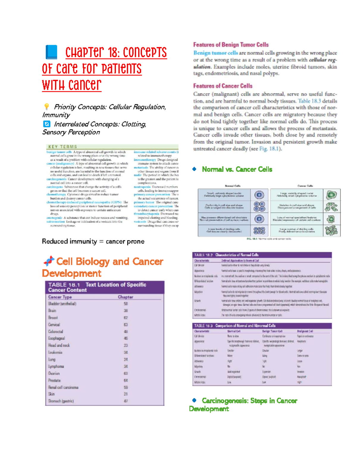 Chapter 18: Concepts of Care for Cancer Patients - Key Insights - Studocu