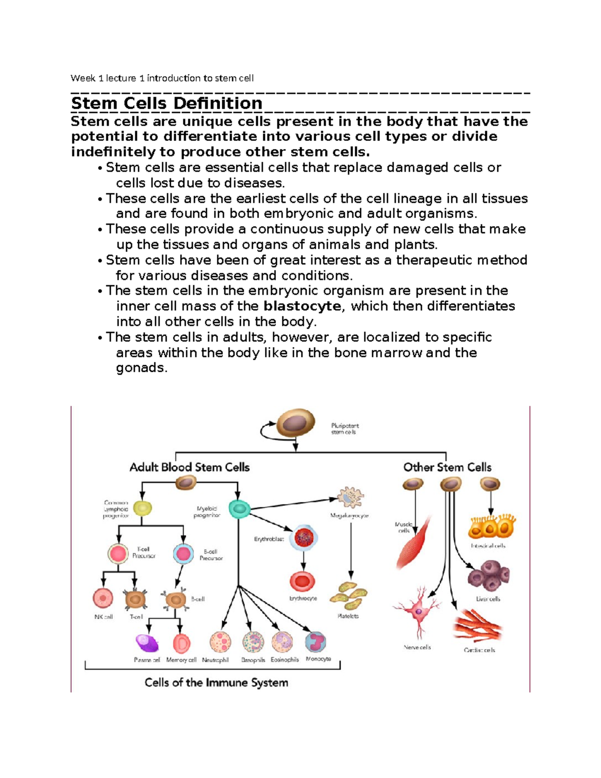 Week 1 Lecture 1: Introduction to Stem Cells and Their Applications ...