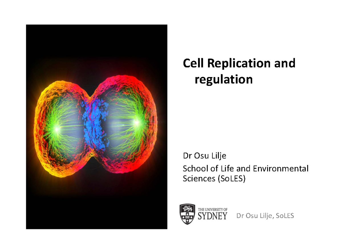 Cell Replication & Regulation Overview - SoLES (Dr. Osu Lilje) - Studocu
