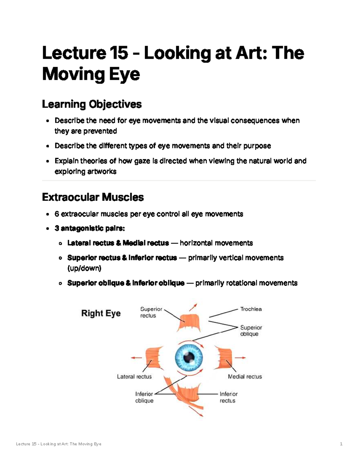 Lecture 15: The Moving Eye in Art - Understanding Eye Movements - Studocu