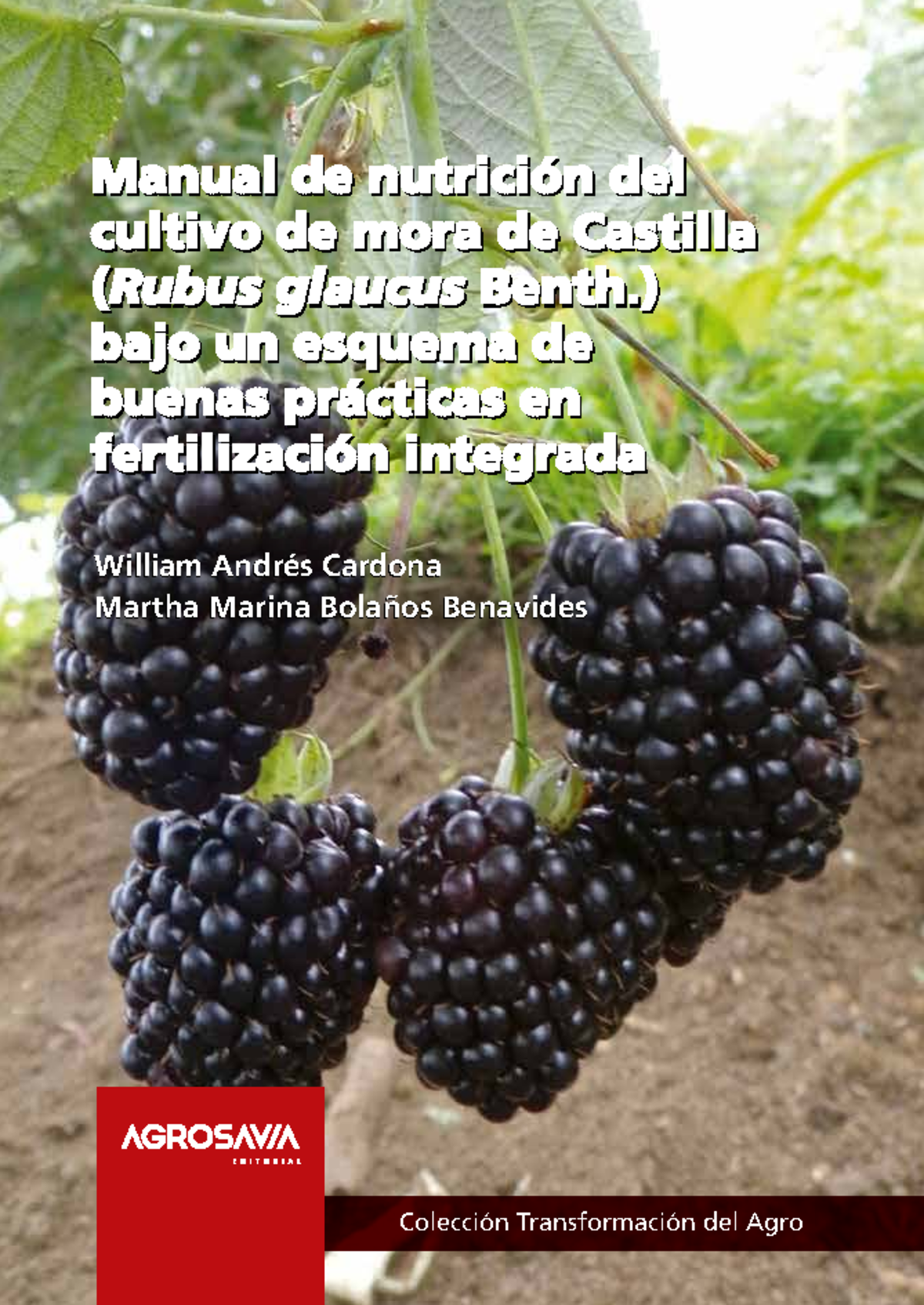 Manual de Nutrición para el Cultivo de Mora de Castilla (Rubus glaucus ...