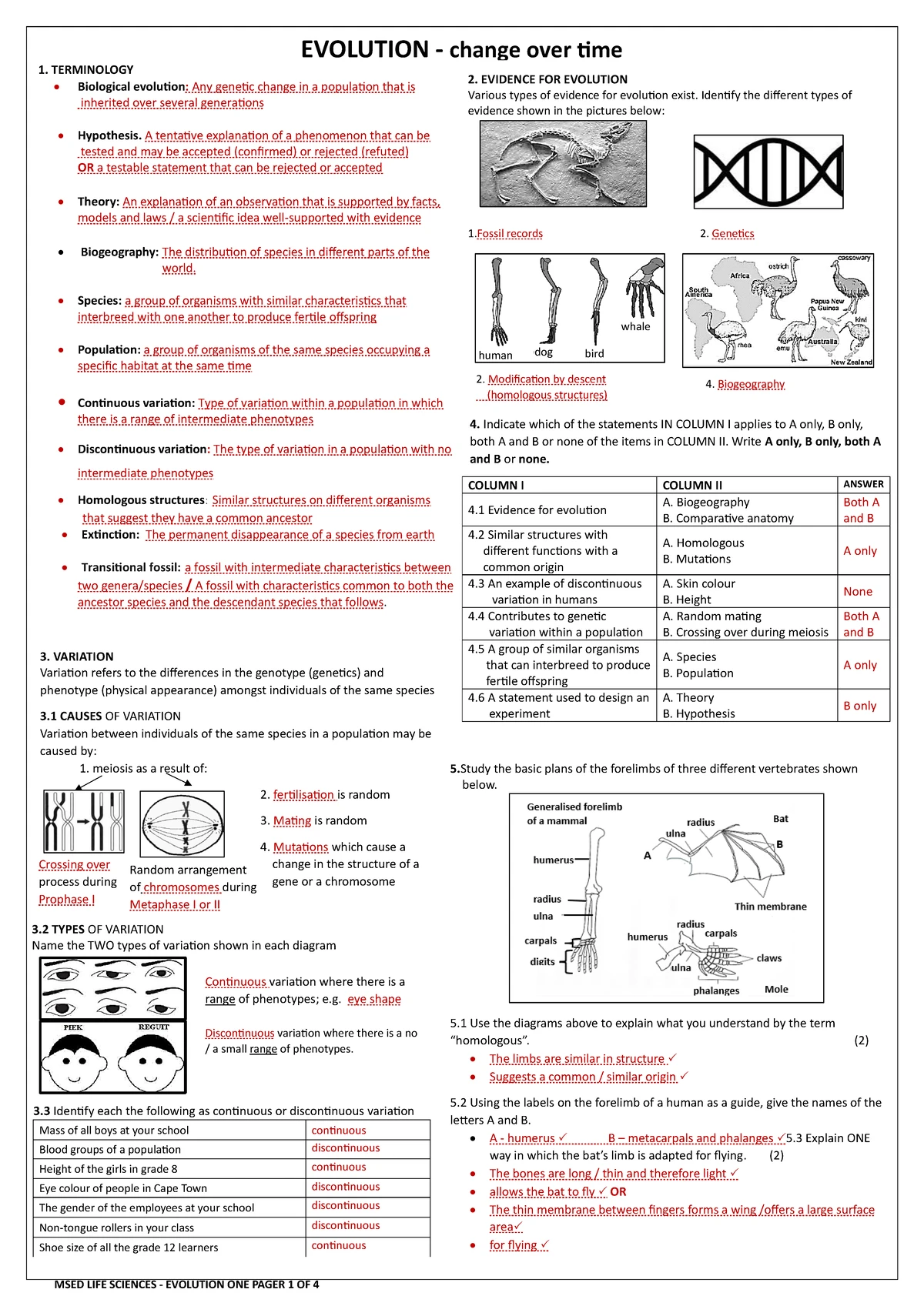 Guide on Duties of the Commissioner of Oaths: SAICA Overview - Studocu